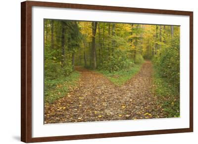 'Crossroads Showing Fork in Path Where a Country' Photographic Print ...