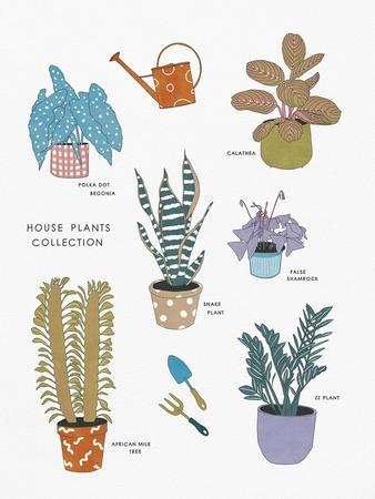 'Curated Collections - Plants' Giclee Print - Archie Stone | AllPosters.com
