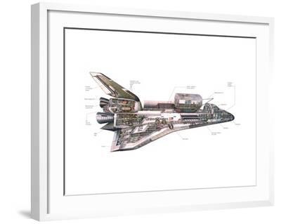 'Cut-Away Diagram of the Space Shuttle' Photo | AllPosters.com