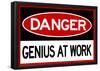 'Danger Genius At Work Sign' Posters | AllPosters.com