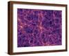 'Dark Matter Distribution' Photographic Print - Volker Springel ...