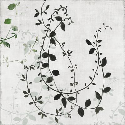 'Dark Vines' Poster - Asia Jensen | AllPosters.com