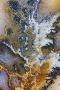 Graveyard Plume Agate, Oregon Photographic Print - Darrell Gulin ...
