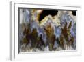 'Graveyard Point Plume Agate, Oregon' Photographic Print - Darrell ...