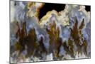 'Graveyard Point Plume Agate, Oregon' Photographic Print - Darrell ...