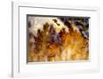 'Graveyard Point Plume, Oregon' Framed Photographic Print - Darrell ...