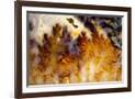 'Graveyard Point Plume, Oregon' Photographic Print - Darrell Gulin ...