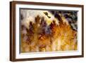 'Graveyard Point Plume, Oregon' Photographic Print - Darrell Gulin ...