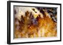 'Graveyard Point Plume, Oregon' Photographic Print - Darrell Gulin ...