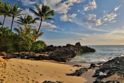 White sands of Makena Cove Photographic Print - Darrell Gulin ...