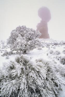 Balancing Rocks (Color Photography) Posters for Sale: Prints, Paintings ...