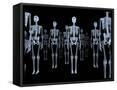 'Skeletons, X-ray Artwork' Photographic Print - David Mack | AllPosters.com