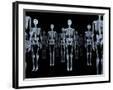'Skeletons, X-ray Artwork' Photographic Print - David Mack | AllPosters.com