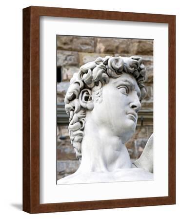 'David of Michelangelo, Piazza Della Signoria, Florence, UNESCO World ...