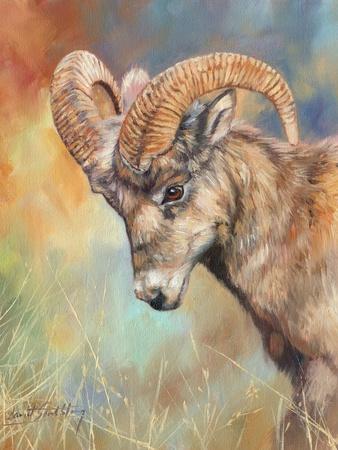 'Mountain Goat' Posters - David Stribbling | AllPosters.com