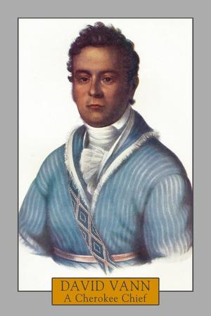 'David Vann - Portrait of a Cherokee Chief, c.1844' Posters - Lantern ...