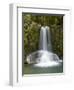 'Waiau Waterfall Near 309 Road, Coromandel Peninsula, North Island, New ...