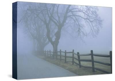 'Solitude' Prints - David Winston | AllPosters.com