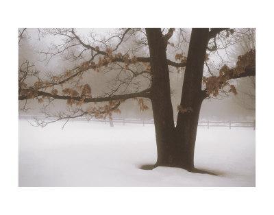 'Solitude' Prints - David Winston | AllPosters.com