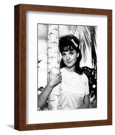 'Dawn Wells' Photo | AllPosters.com