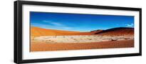 Dead trees in Dead Vlei - Sossusvlei, Namib Desert, Namibia Photo ...