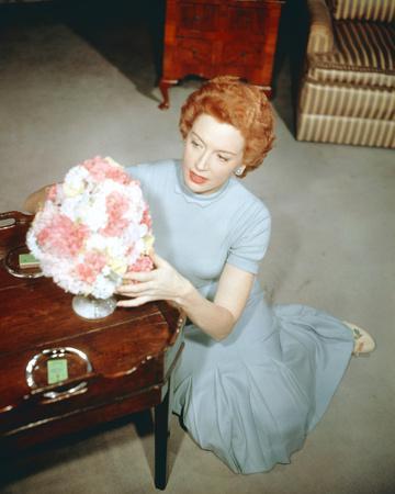 'Deborah Kerr' Photo | AllPosters.com