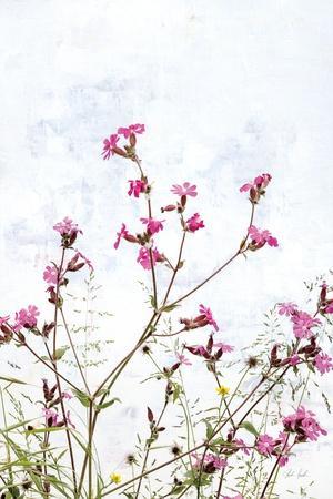 'Pink Campion' Photographic Print - Deborah Revell | AllPosters.com