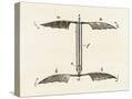 'Debut of Aviation: Rubber Spring Helicopter Invented by Charles ...