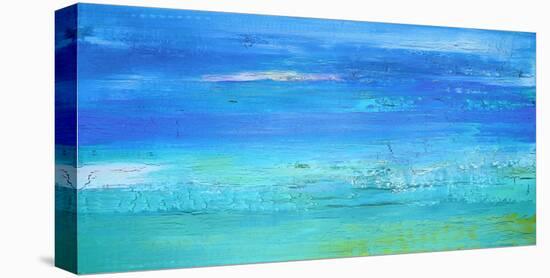 December Beach Day Stretched Canvas Print Alicia Dunn