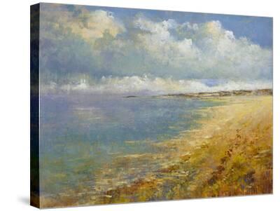 'Coastal Wave' Stretched Canvas Print - Deckard | AllPosters.com