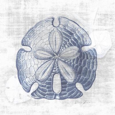 Blue Sand Dollar Illustration