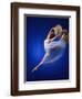 'Ballerina Dancing' Photographic Print - Dennis Degnan | AllPosters.com