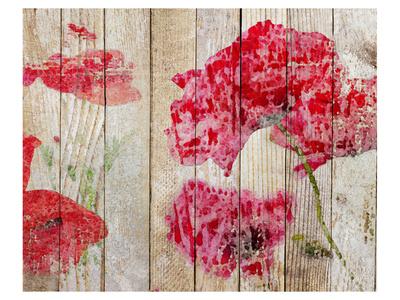 'Depth' Posters | AllPosters.com