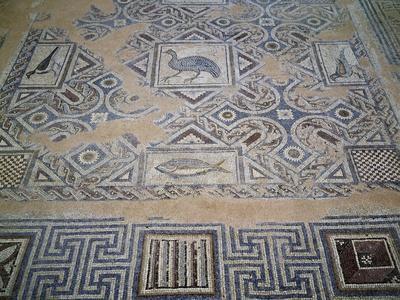 'Detail of Mosaic Floor of Building of Ancient Roman City of Curium ...