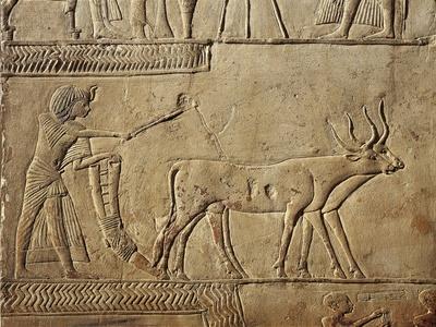 'Detail of Pharaoh Ploughing in the Fields of Irau and Receiving the ...