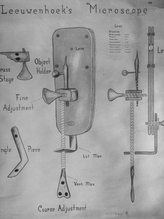 'Detailed Drawing of Anton Leeuwenhoek's Microscope' Photographic Print ...