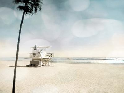 Solitude Prints - Devon Davis | AllPosters.com