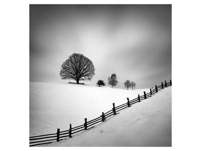 'Diagonal' Premium Giclee Print | AllPosters.com