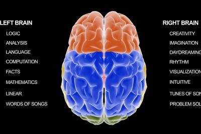 'Diagram illustrating how the left side of the brain works compared to ...