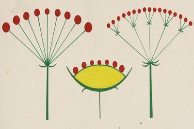 'Diagram of Umbels, Centripetal Inflorescences' Giclee Print ...