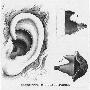 'Diagrams to Show Blodgett's Micro-Audiphone Hearing Aid and How It is ...