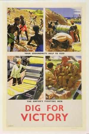 '"Dig for Victory", Propaganda Poster for the African Colonies, C.1940 ...
