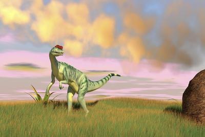 'Dilophosaurus Hunting in an Open Field' Posters | AllPosters.com