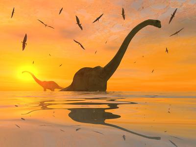 'Diplodocus Dinosaurs Bathe in a Large Body of Water' Photographic ...
