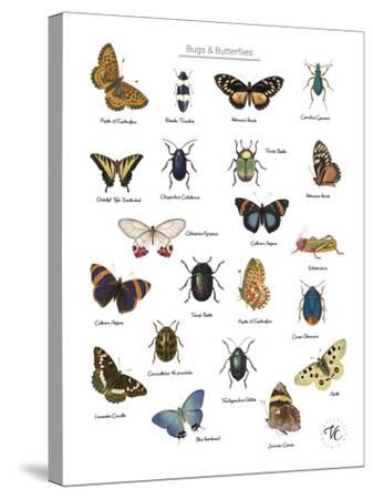 'Discovery Charts - Bugs & Butterflies' Stretched Canvas Print - The ...