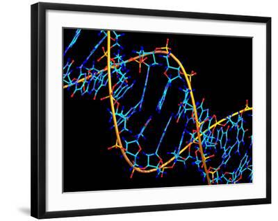 'DNA Molecule' Photographic Print - PASIEKA | AllPosters.com