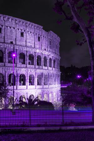 'Dolce Vita Rome Collection - The Colosseum Purple Night II ...