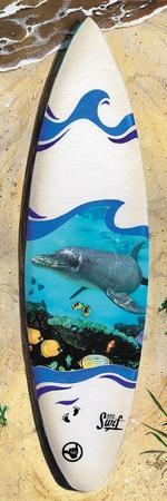 'Dolphin Board' Posters - Scott Westmoreland | AllPosters.com