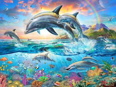 'Dolphin Family' Posters - Adrian Chesterman | AllPosters.com