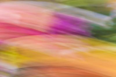 'Mexico, Baja California, Tecate. Abstract Wash of Color Patterns ...